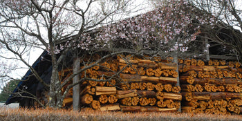 In Focus | Mashiko: The Pottery Town of Japan – Goldmark