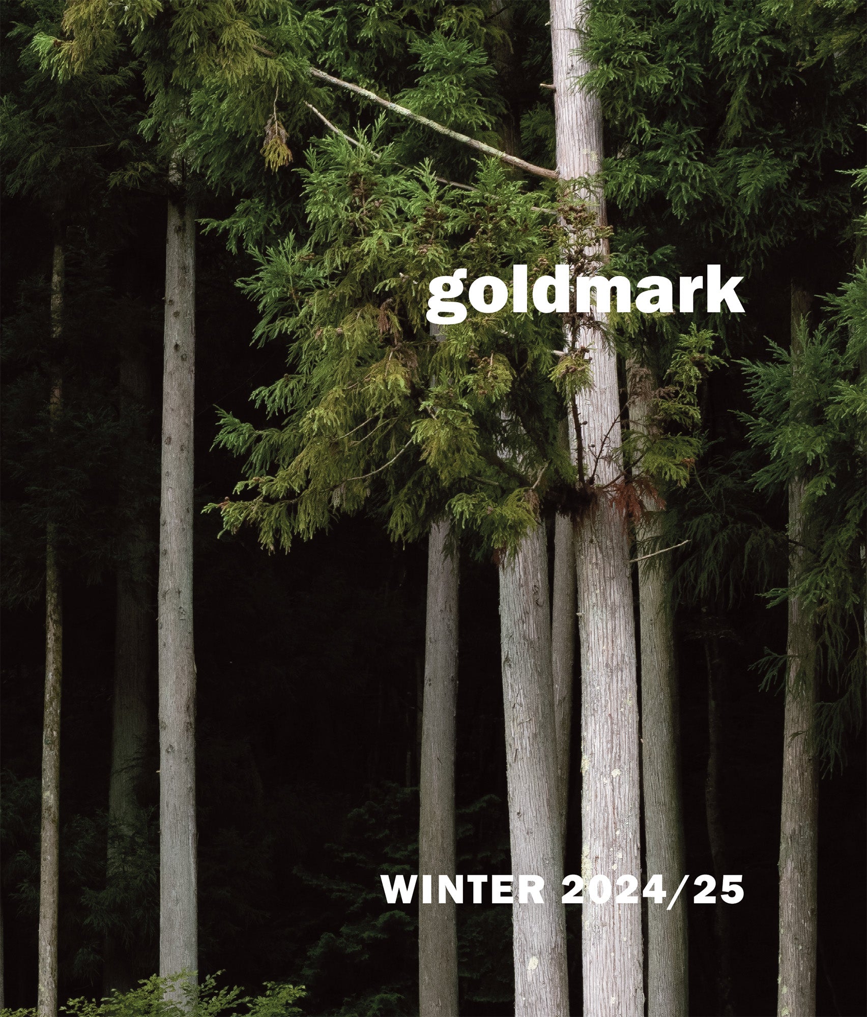 Goldmark Art and Ceramics Magazine Winter 2024-25