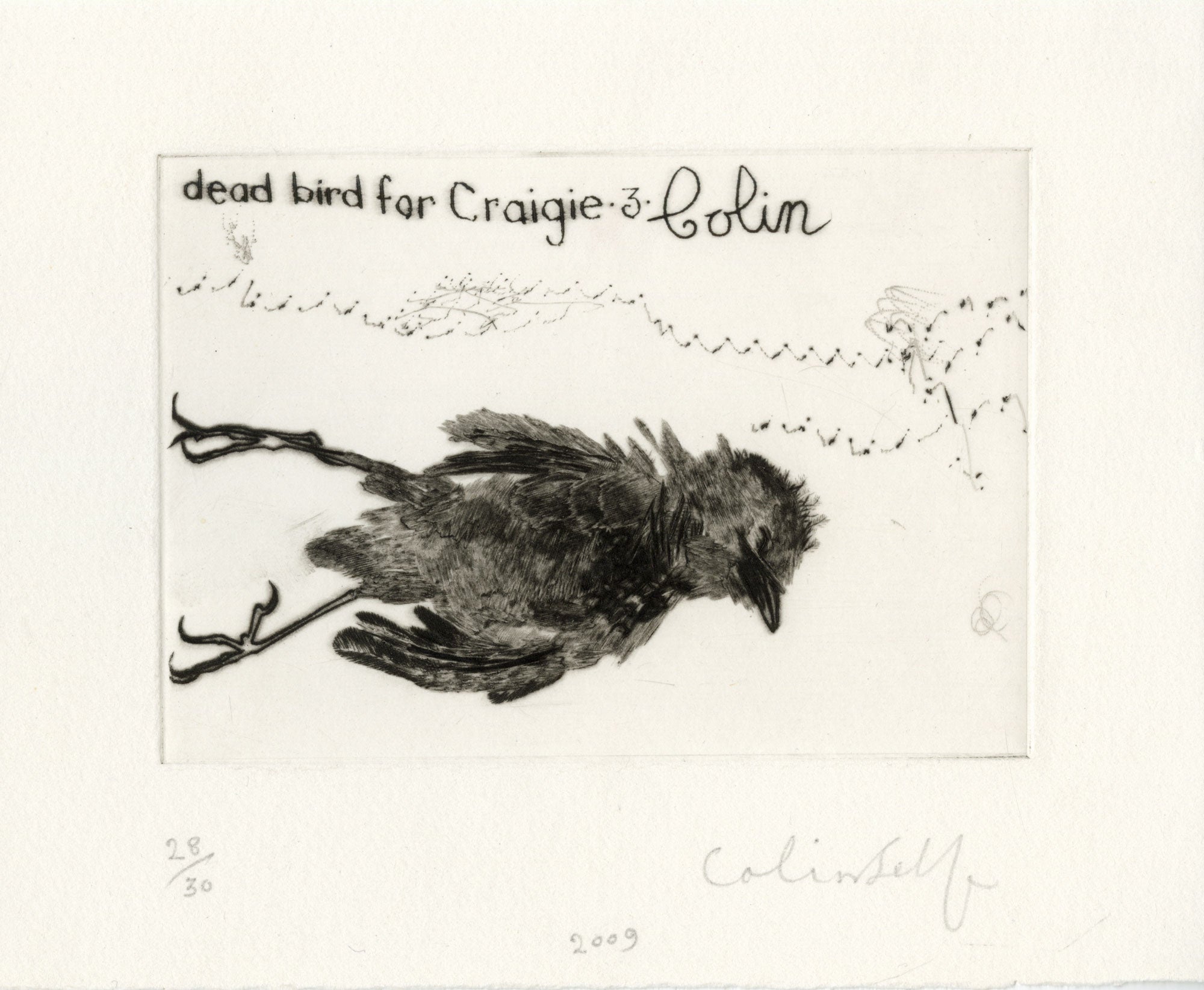 Colin Self Dead Bird for Craigie No 3 – Goldmark