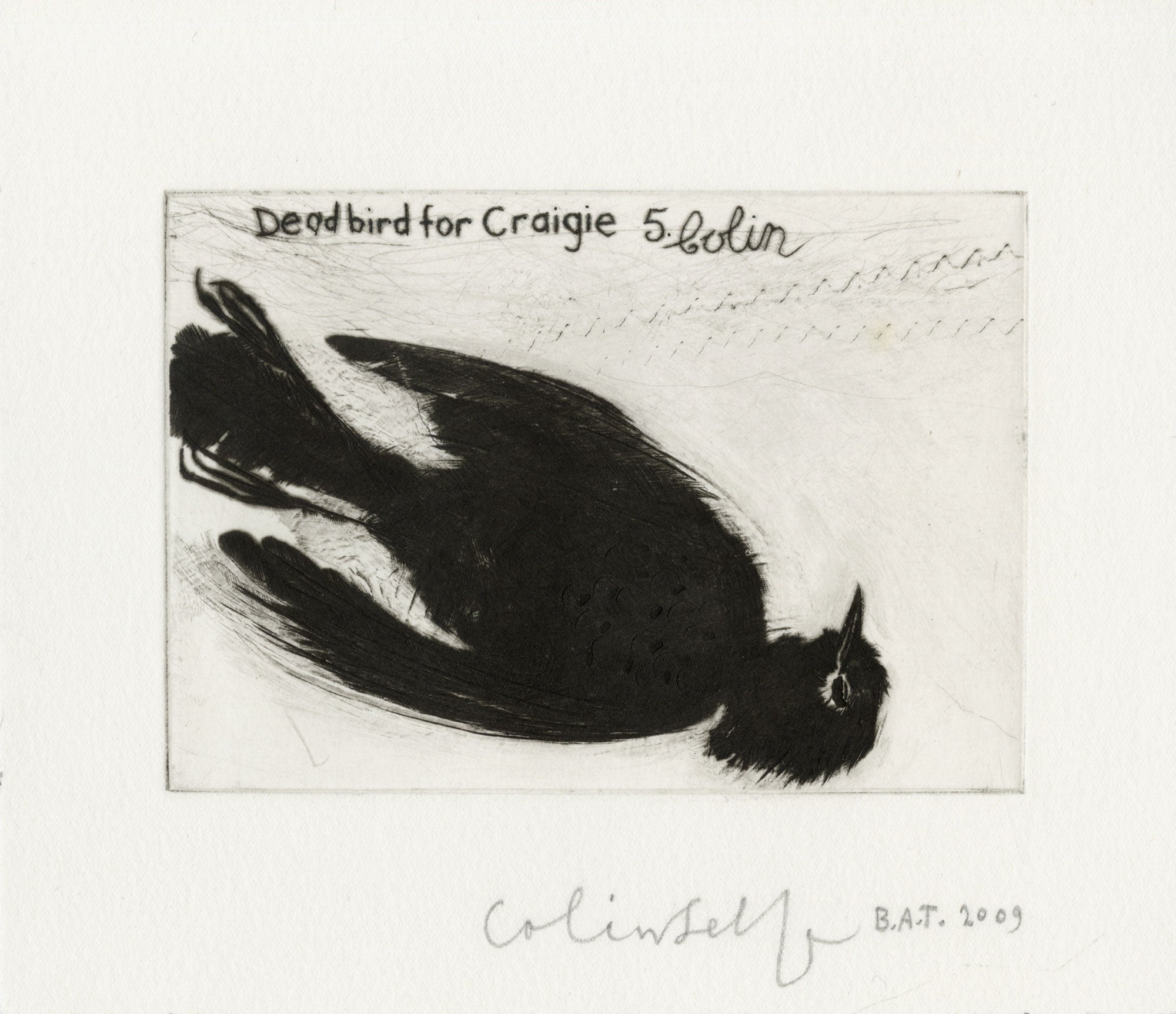 Colin Self Dead Bird for Craigie No 5 – Goldmark