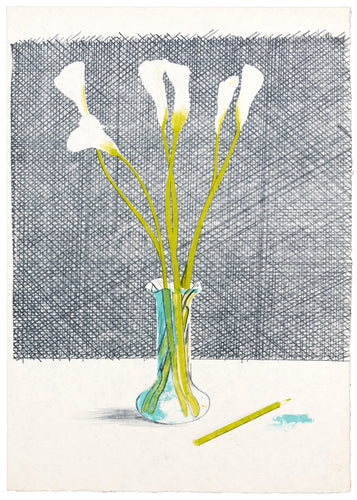 David Hockney David Hockney Modern Graphics 1969-1979, Arundel – Goldmark