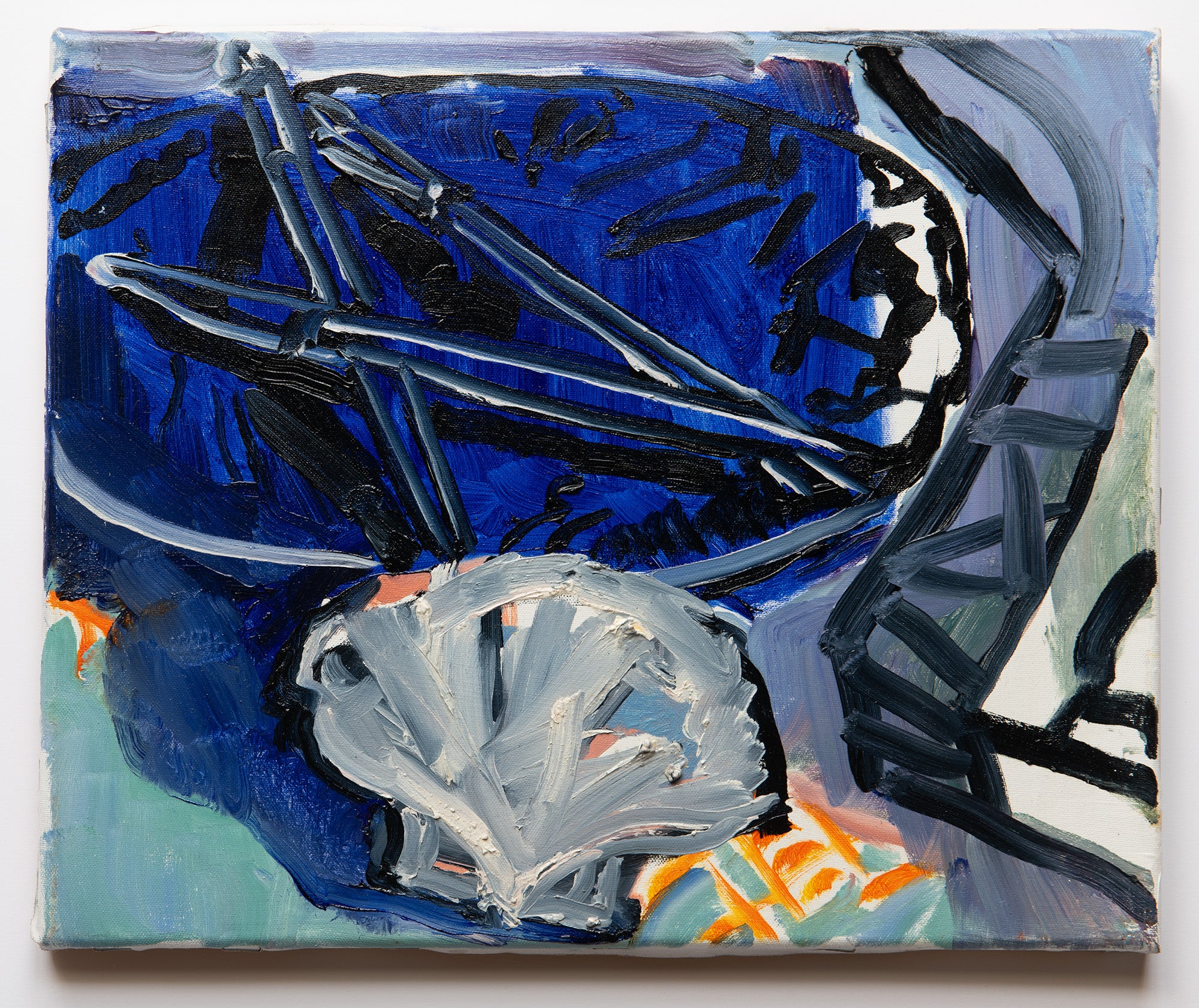 Pat Porter ﻿Shell Still Life – Goldmark