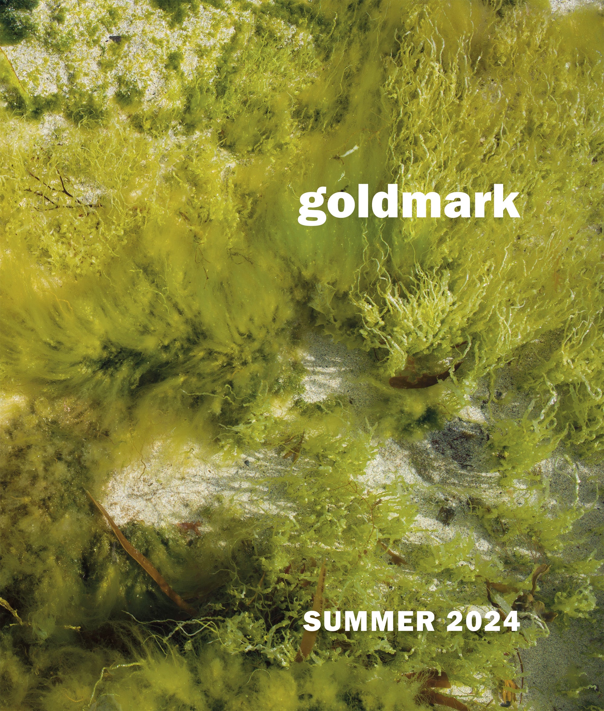 Goldmark Art and Ceramics Magazine Summer 2024
