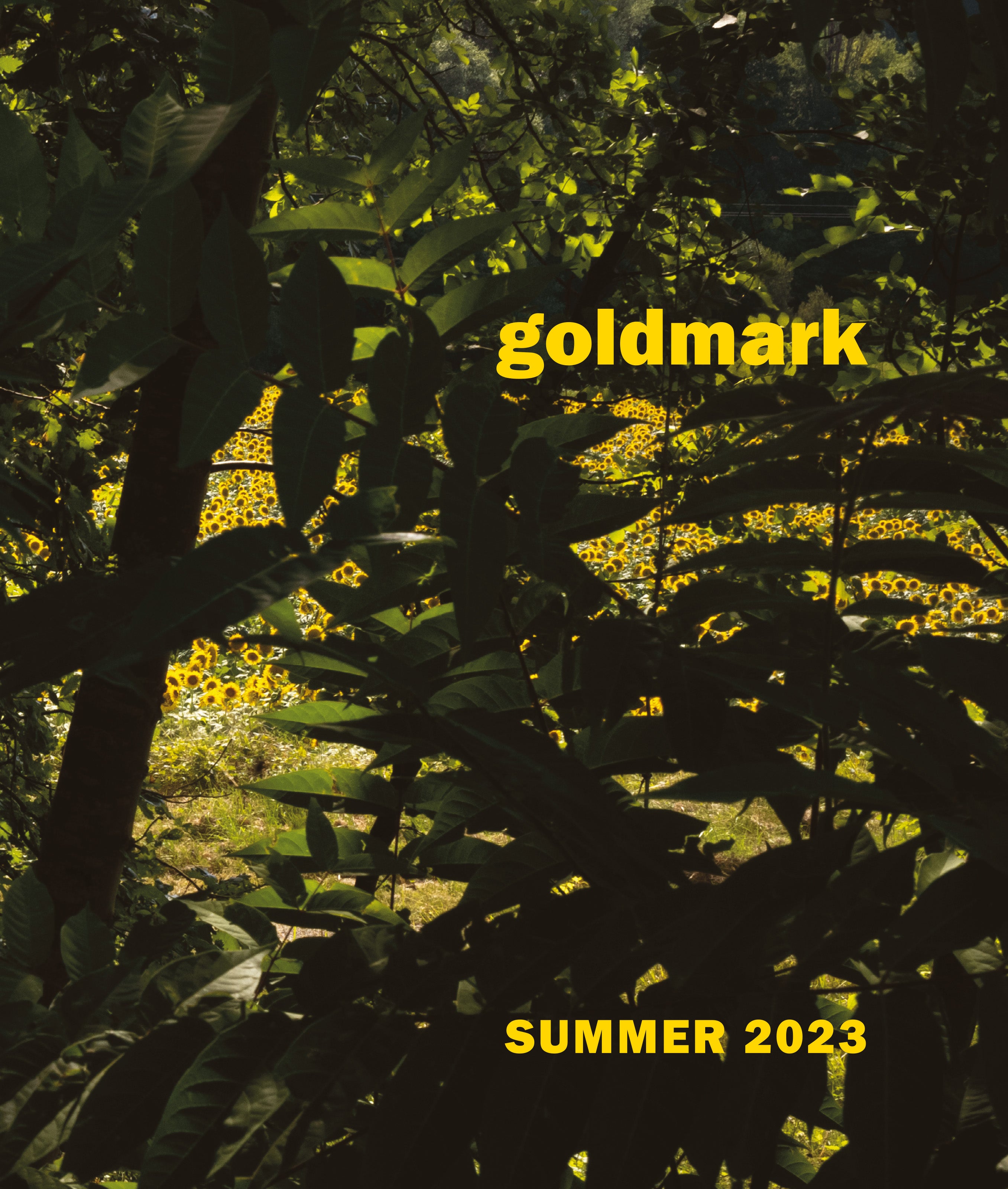 Goldmark Art and Ceramics Magazine Summer 2023
