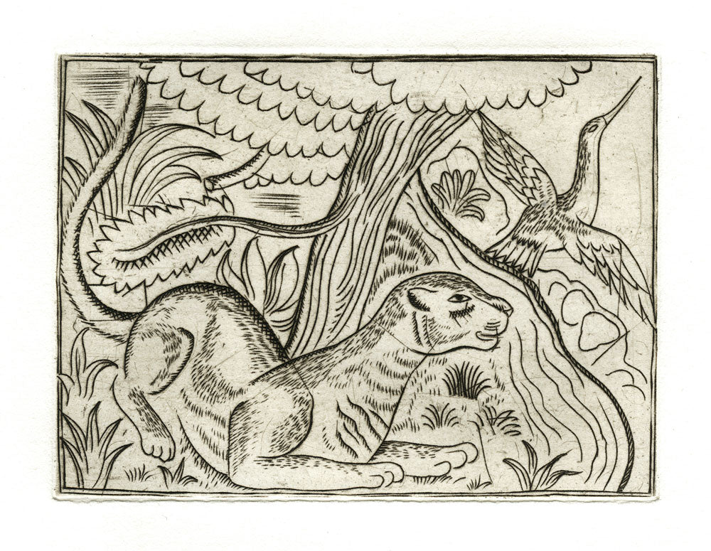 David Jones Puma – Goldmark