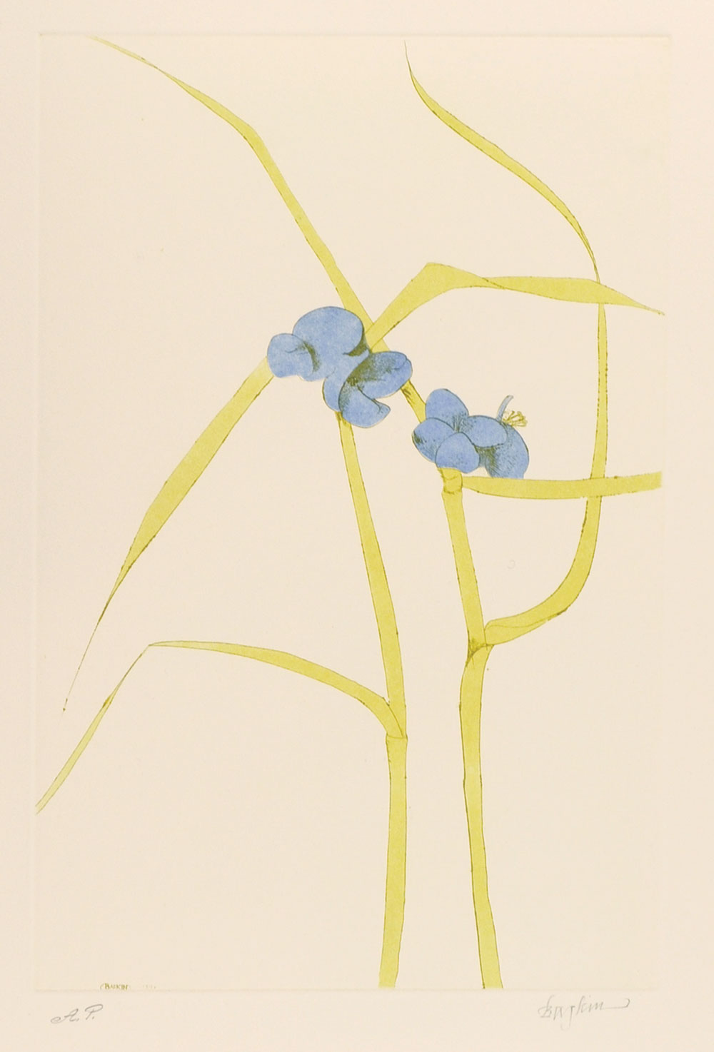 Blue Flower – Goldmark