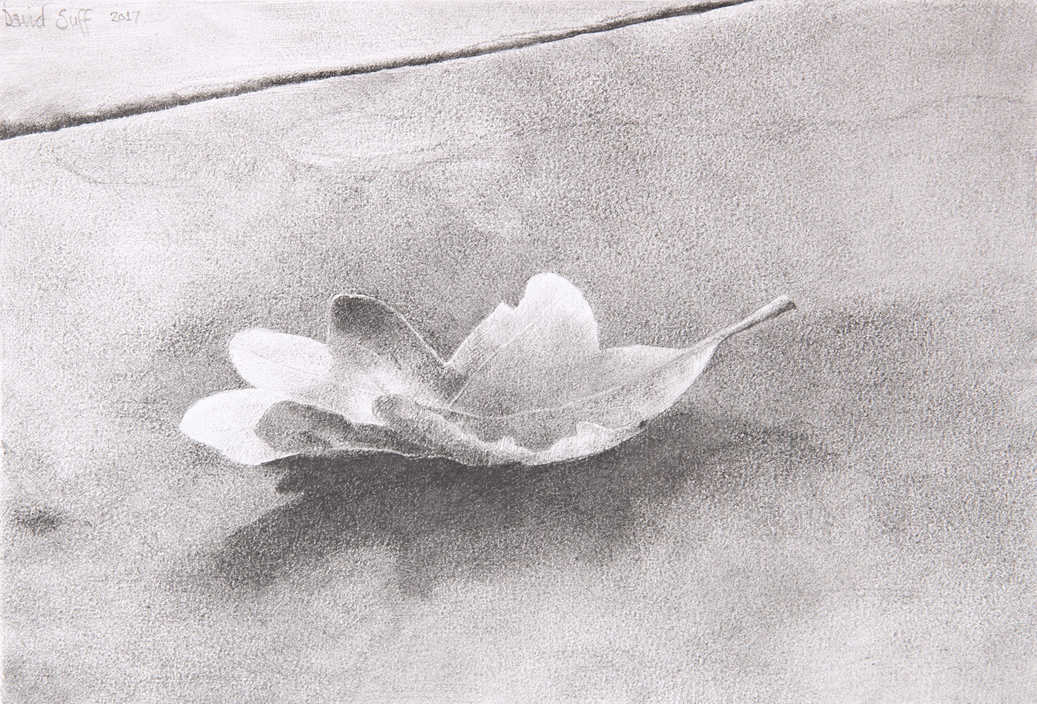 David Suff Study for Wm. Blake's Leaf – Goldmark