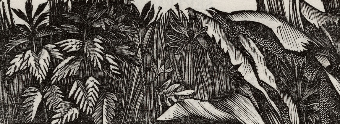 Eric Ravilious August - Bracken – Goldmark