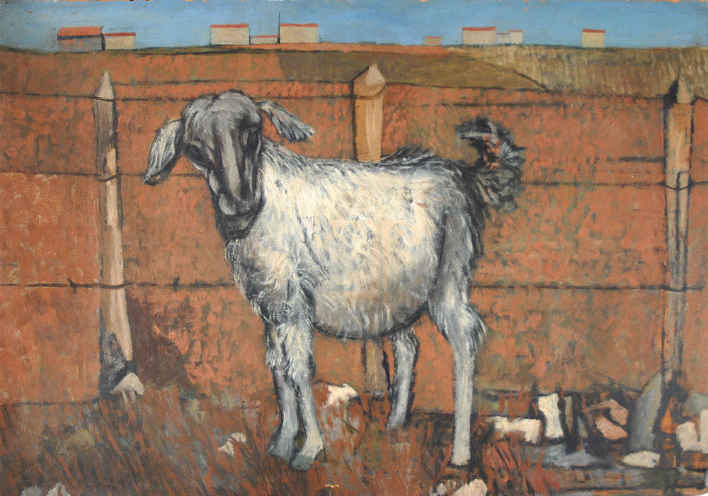 Derrick Greaves Goat – Goldmark