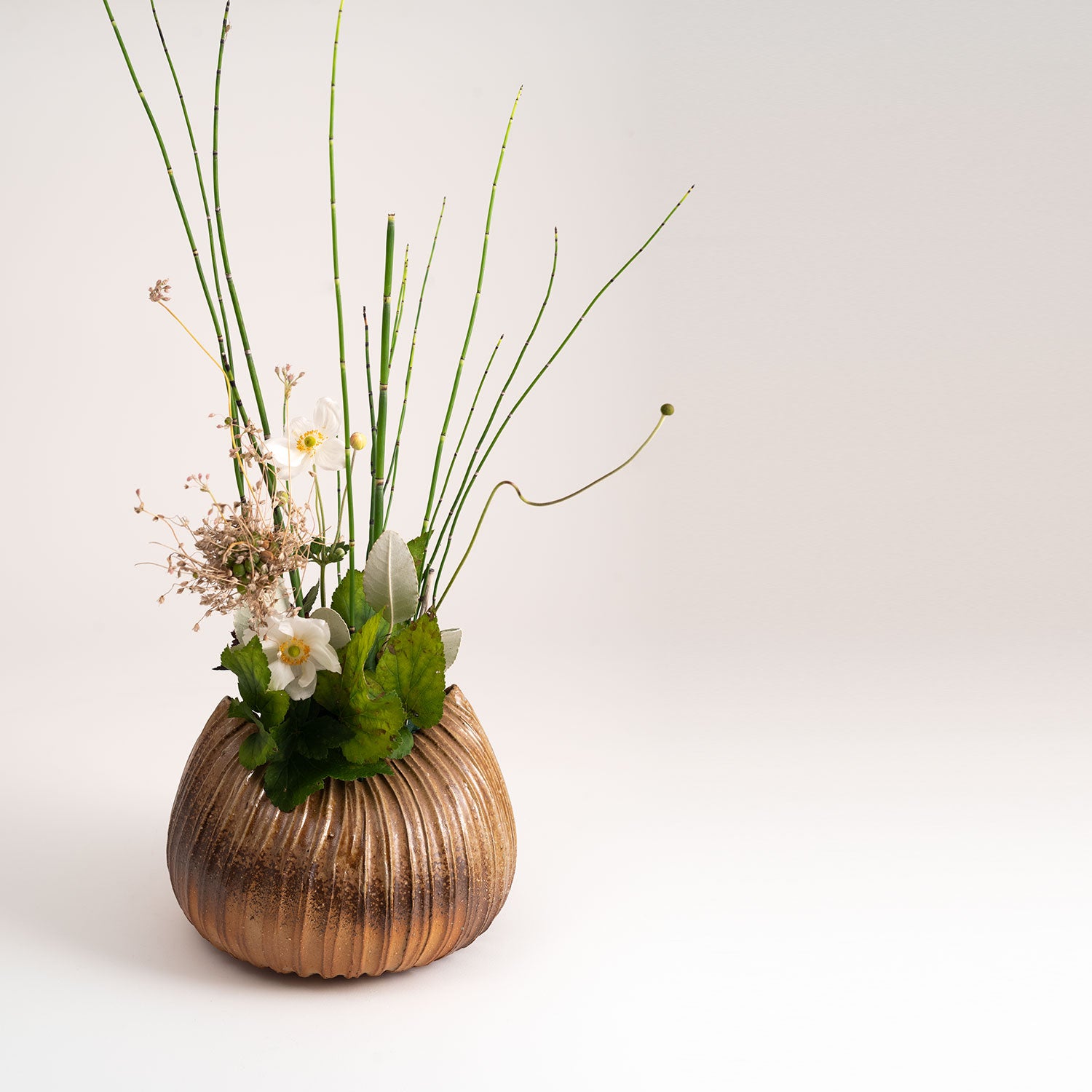 Ridge Jar – Goldmark