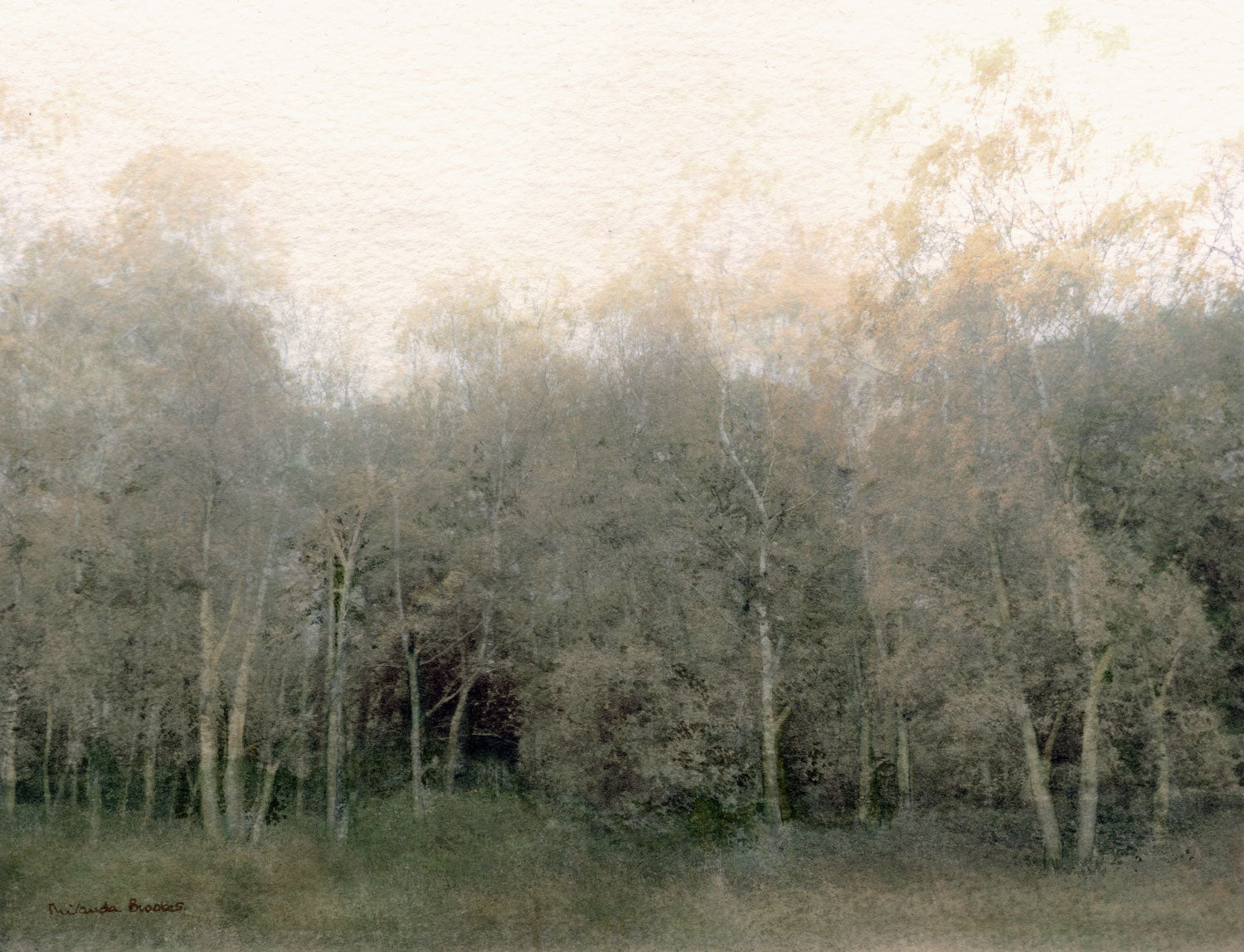 Miranda Brookes Birch Trees at Dusk – Goldmark