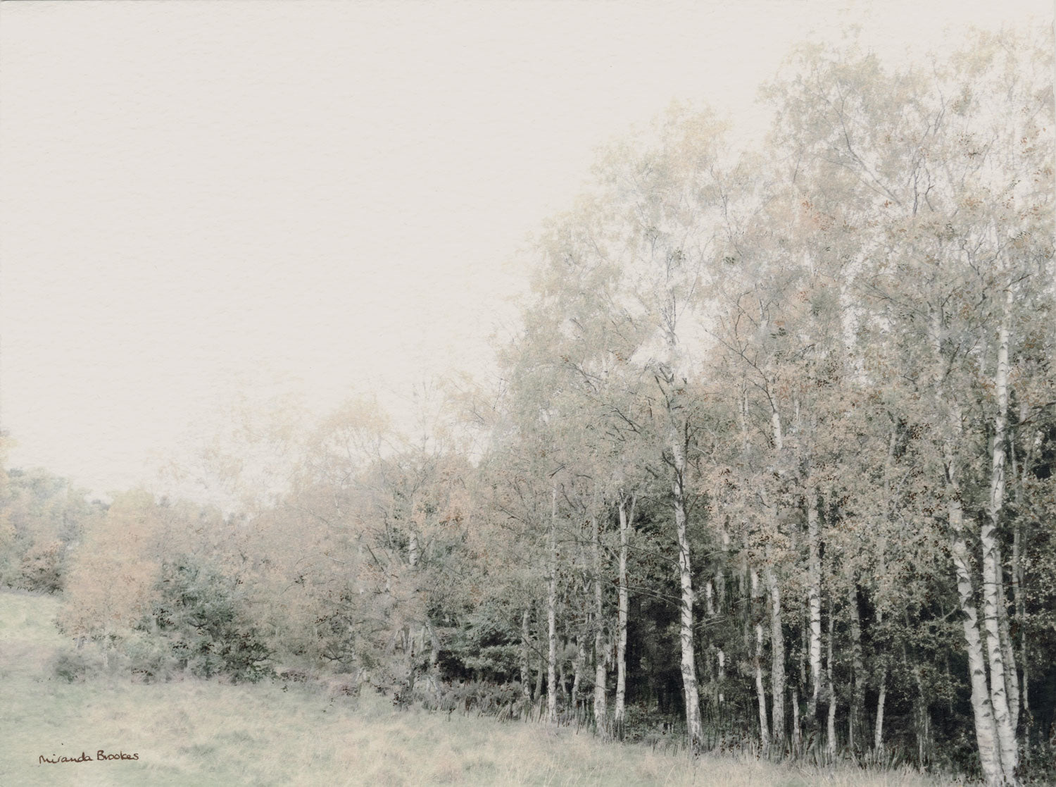 Miranda Brookes Birch Trees – Goldmark