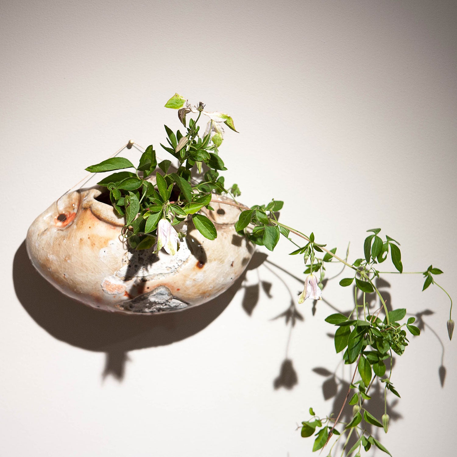 Wall Hanging Flower Vase – Goldmark