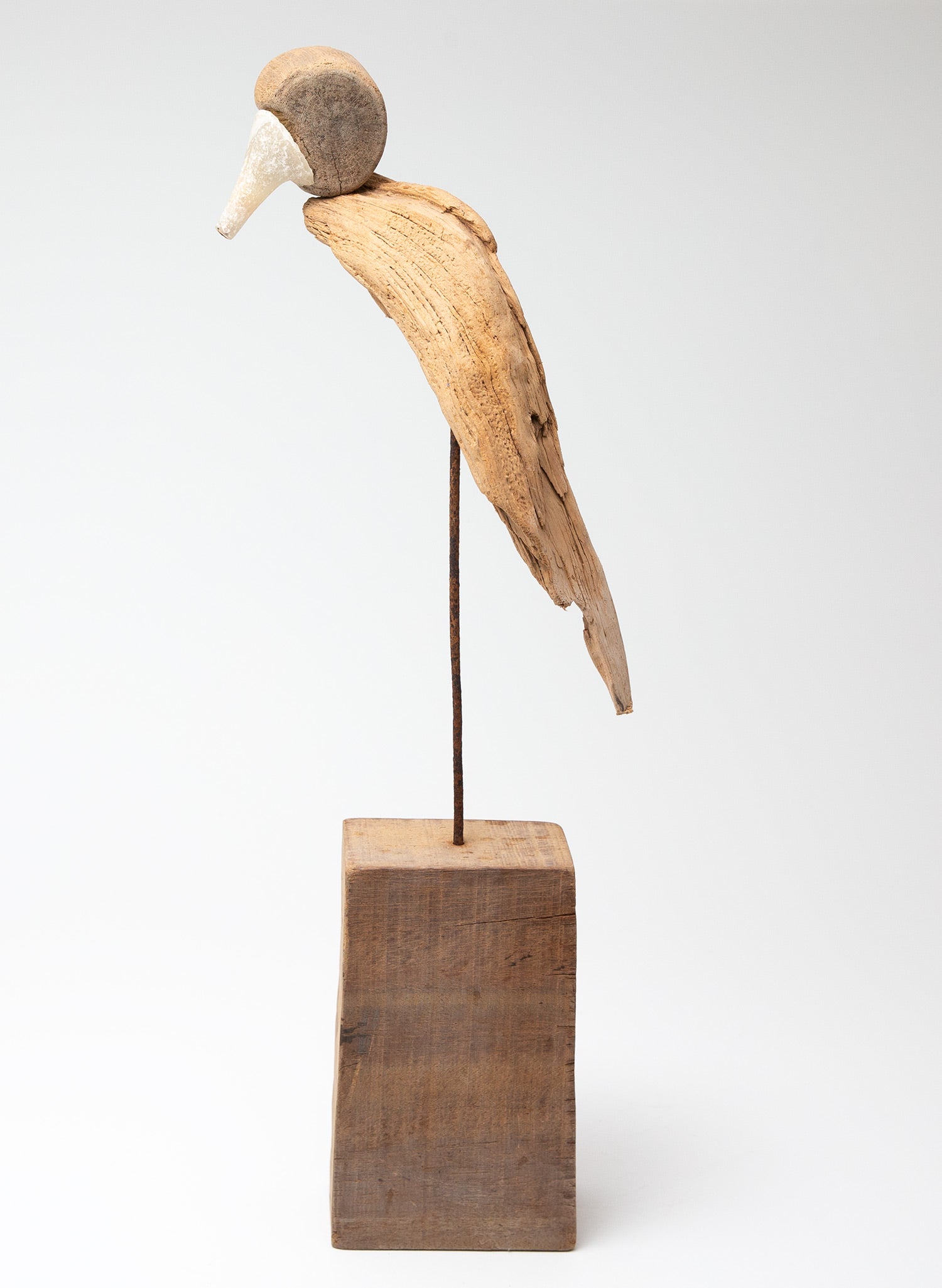 Stiletto Parakeet – Goldmark