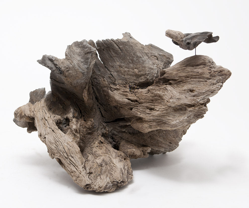 Sid Burnard Thief – Goldmark