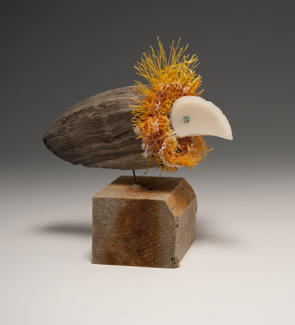 Sid Burnard Orange Ruffed Coco Finch – Goldmark