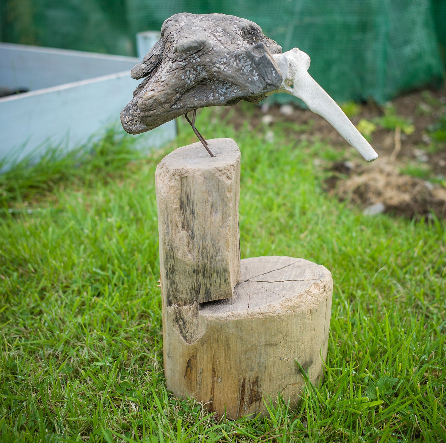 Sid Burnard Bone Idol – Goldmark