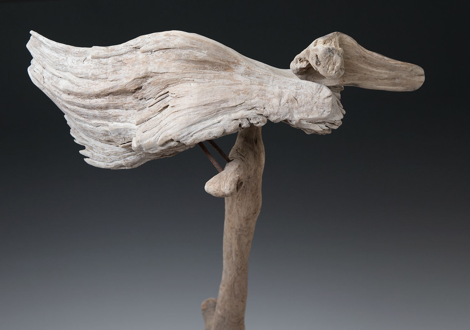 Sid Burnard Megan – Goldmark