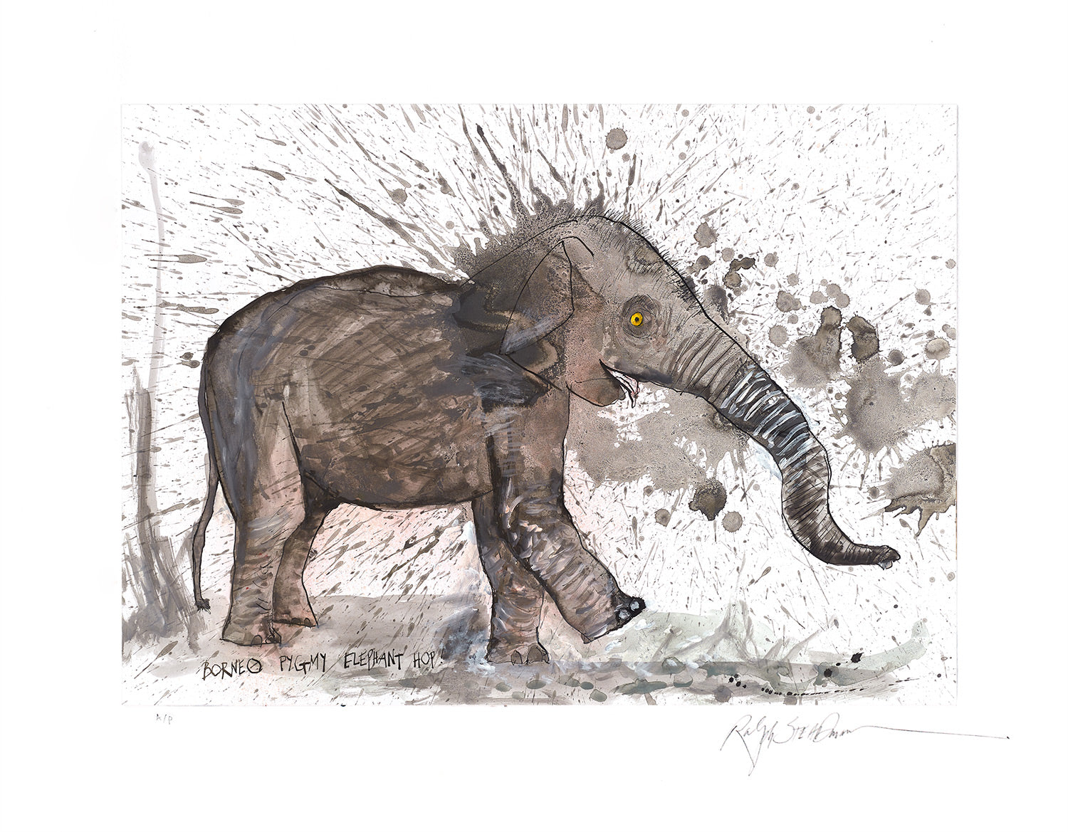 Ralph Steadman Borneo Pygmy Elephant - Critical Critters Suite – Goldmark