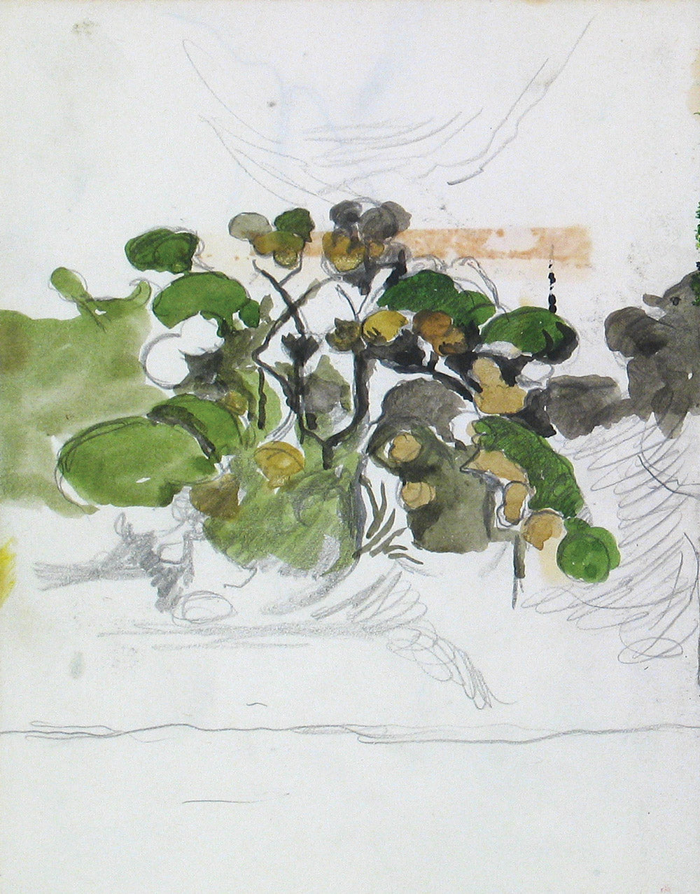 Graham Sutherland Trees and Rocks Study – Goldmark