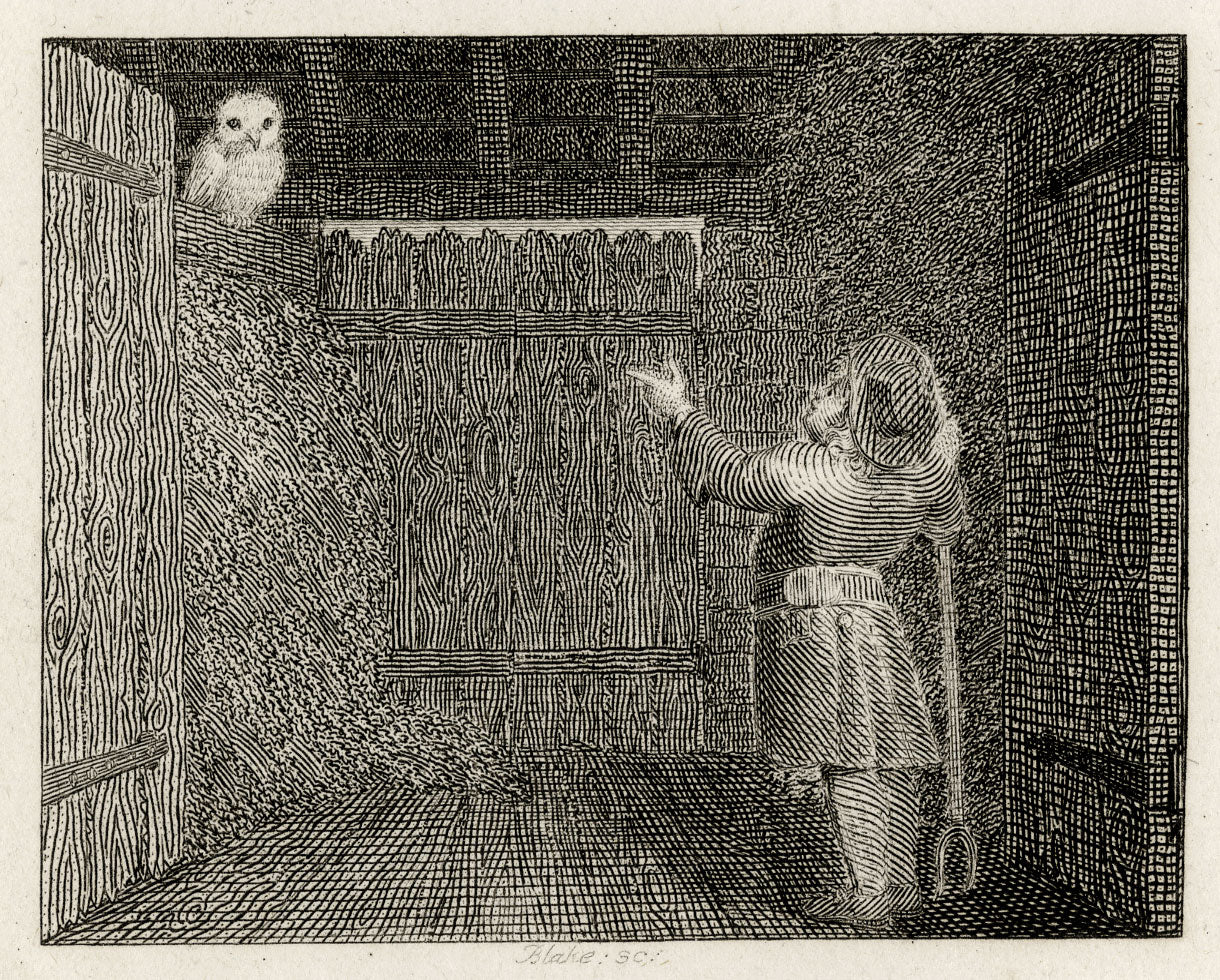 William Blake The Owl and the Farmer – Goldmark
